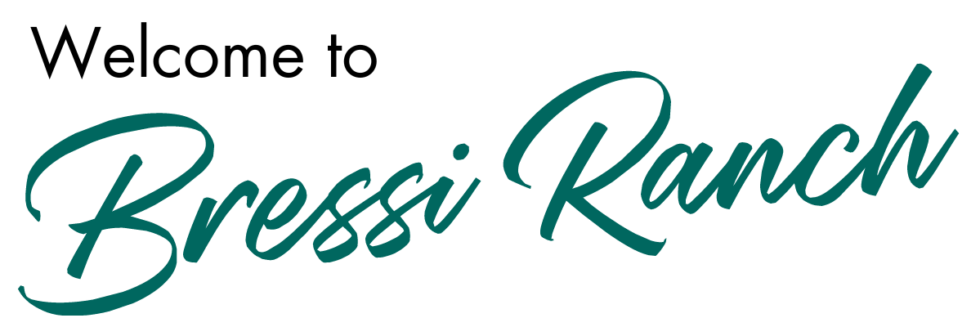 Home - bressiranchvillagecenter